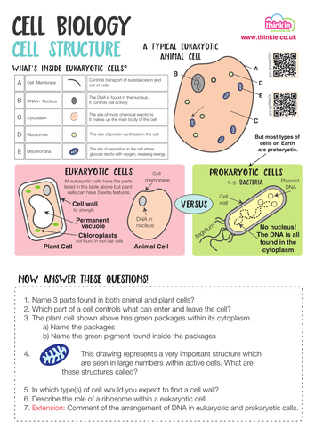 AQA GCSE Cell Biology Series of Full Lessons | Teaching Resources