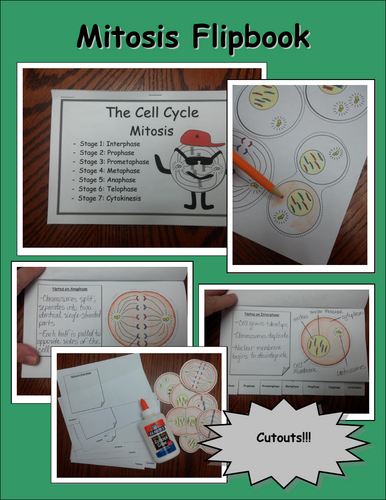 AQA GCSE Cell Biology Series of Full Lessons | Teaching Resources