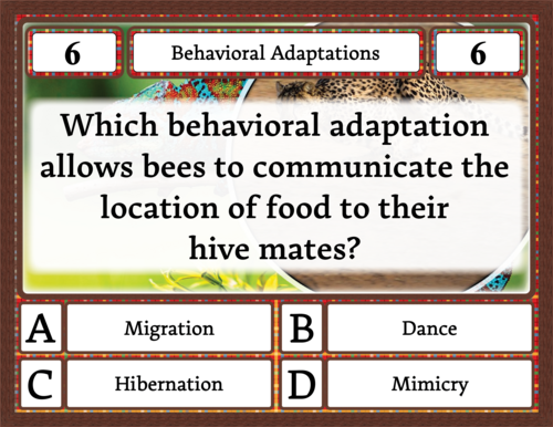 Animal Adaptations: Fun & Engaging Biology Science Task Cards Activity ...