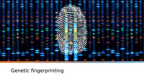 Genetic fingerprinting | Teaching Resources