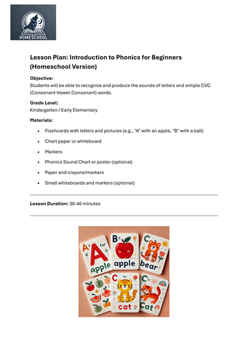 Phonics Lesson Plan - Beginners | Teaching Resources