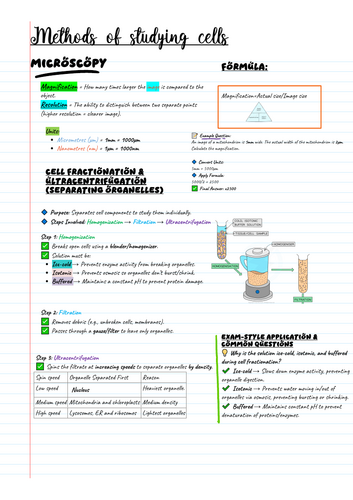 A Level Biology - Cell Structure Notes | Teaching Resources