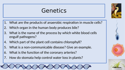 AQA GCSE Biology Mendel genetics | Teaching Resources