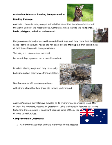 Australian Animals Reading Comprehension and Literacy Tasks | Teaching ...