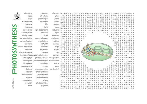 Photosynthesis wordsearch | Teaching Resources