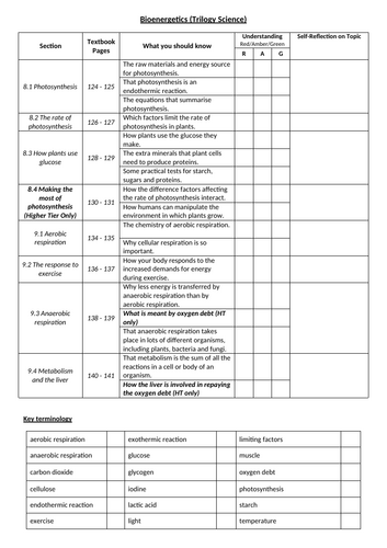 GCSE Biology: Bioenergetics Full Lesson Slides | Teaching Resources