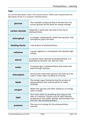 GCSE Biology: Bioenergetics Full Lesson Slides | Teaching Resources