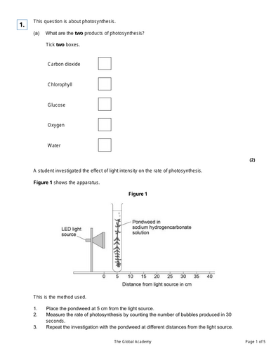 GCSE Biology: Bioenergetics Full Lesson Slides | Teaching Resources