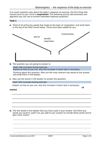GCSE Biology: Bioenergetics Full Lesson Slides | Teaching Resources