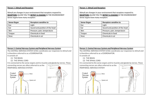 GCSE Biology: Homeostasis, Nervous System and Reproduction Full Lessons ...