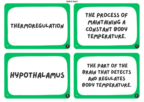 B12: Homeostasis in Action Flashcards (AQA GCSE Triple) | Teaching ...