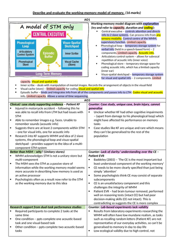 AQA 16 Mark Essay Plans - Memory | Teaching Resources
