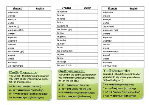 Studio 3 Module 2 Lesson 1 to 5 French | Teaching Resources