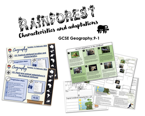 Rainforest characteristics and adaptations, GCSE Geography, AQA, 9-1 ...