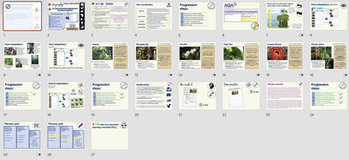 Rainforest characteristics and adaptations, GCSE Geography, AQA, 9-1 ...