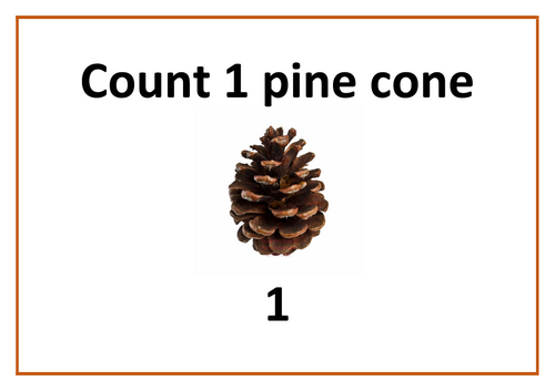 1:1 correspondence counting pine cones | Teaching Resources