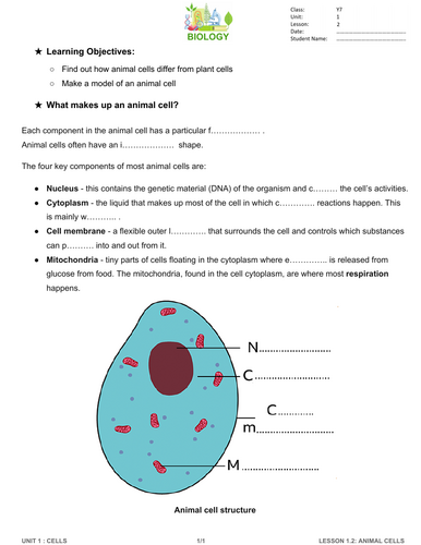 Animal Cells | Teaching Resources