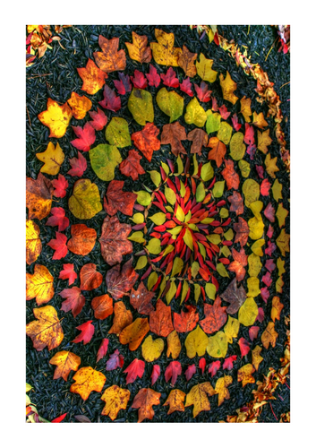 KS1 Unit of Work - Andy Goldsworthy Nature Sculptures Art & Design ...