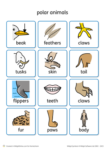 EYFS Polar Animals labelling | Teaching Resources