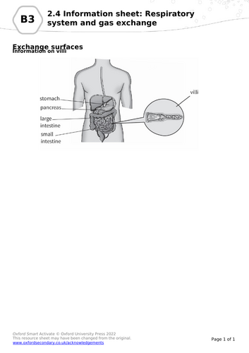 Apply - Respiratory System and Gas Exchange | Teaching Resources