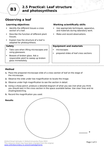 Apply - Leaf structure and Photosynthesis | Teaching Resources
