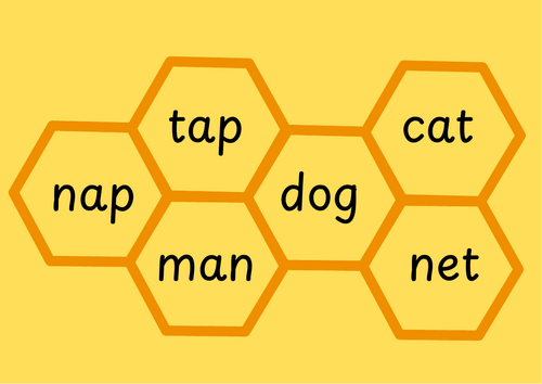 Bee bundle | Teaching Resources