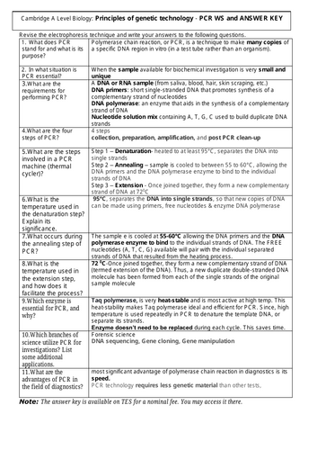 Principles of gene technology : PCR - Cambridge A Level Biology ...