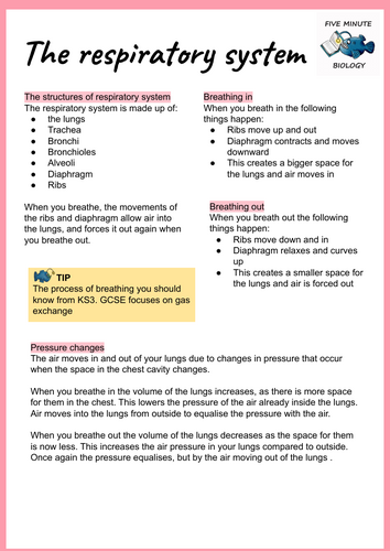 GCSE AQA Biology Triple Science Respiratory System revision sheets Higher Tier (Grade 6-9 ...