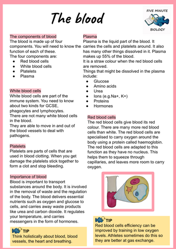 GCSE AQA Biology Triple Science Blood revision sheets Higher Tier ...