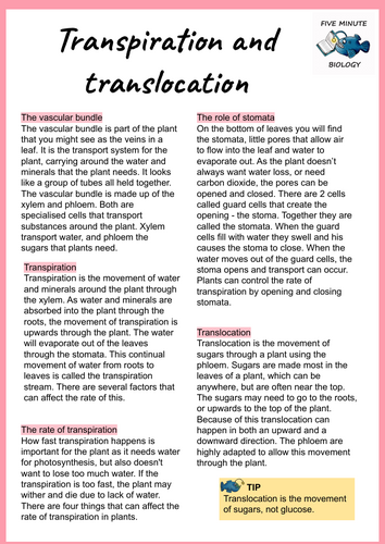 GCSE AQA Biology Triple Science Transcription and Translocation ...