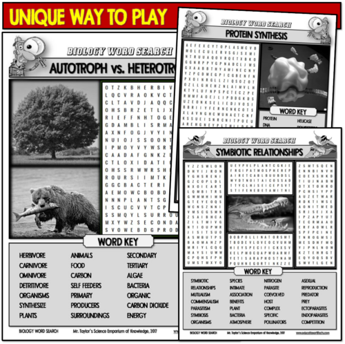 Biology Word Search Puzzle Activities | Teaching Resources