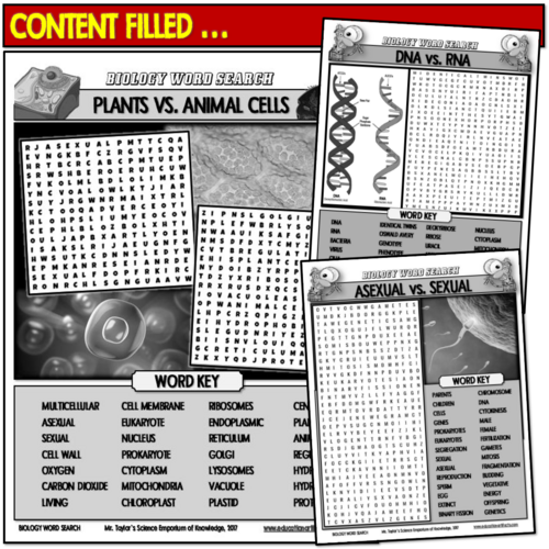 Biology Word Search Puzzle Activities | Teaching Resources