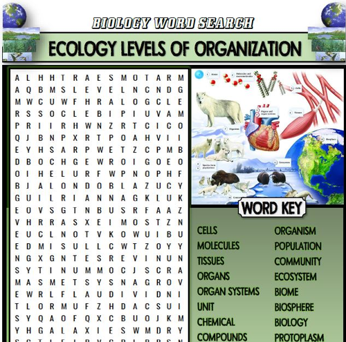 Biology Word Search Puzzle Activities | Teaching Resources