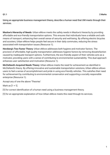 IB Business Management Mock Exams 1,2 and 3 HL Papers | Teaching Resources