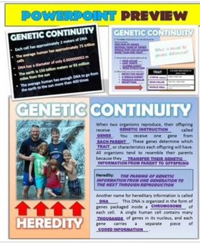 DNA, Mutations, Protein Synthesis, & Genetic Engineering: Note Packet ...