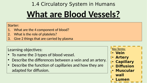 WJEC GCSE Biology Topic 4 (Circulatory System in Humans) Complete ...