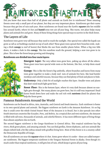 Rainforest Ecosystem Reading Pack | Teaching Resources