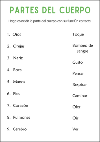 Human Body Parts Worksheets in Spanish - Hoja de Trabajo de Partes del ...