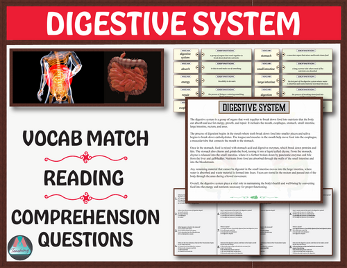 Body Systems: Digestive System Reading & Sort Activity for Biology ...