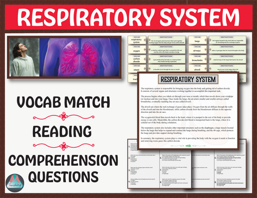 Body Systems: Respiratory System Reading & Sort Activity for Biology ...