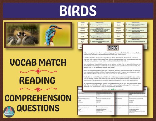 Classifying Animals: Birds Reading & Sort Activity for Biology Science ...