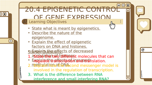 AQA A Level Biology 20.4 Epigenetic Control of Gene Expression ...