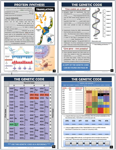 DNA, Mutations, Protein Synthesis & Genetic Disorders: Interactive ...