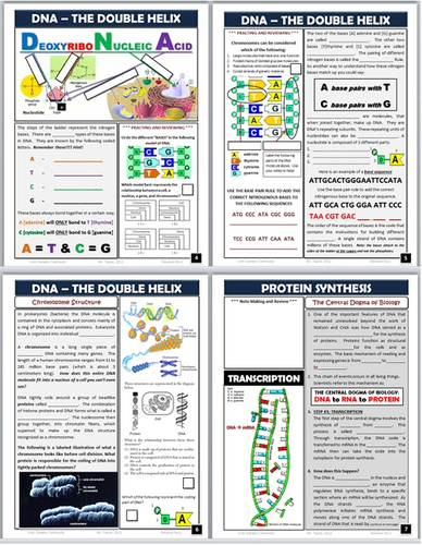 DNA, Mutations, Protein Synthesis & Genetic Disorders: Interactive ...