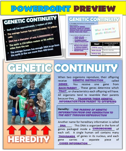 DNA, Mutations, Protein Synthesis & Genetic Disorders: Interactive ...