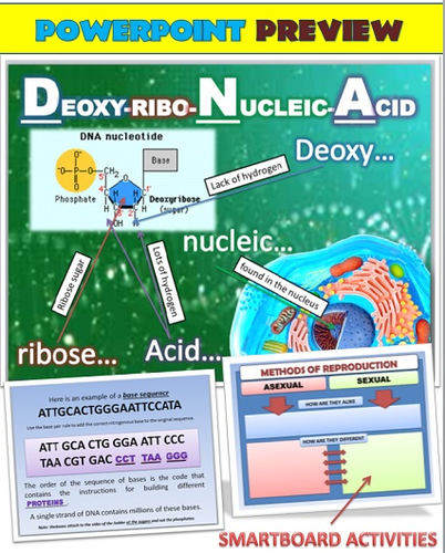 DNA, Mutations, Protein Synthesis & Genetic Disorders: Interactive ...