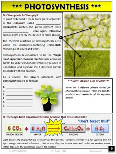 Photosynthesis: Unit Note Packet and PowerPoint Bundle | Teaching Resources