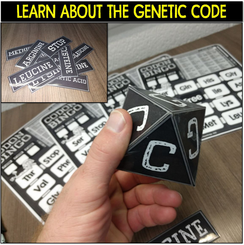 DNA Genetic Code: Codon Bingo | Teaching Resources