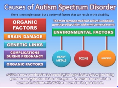 Special Education: Characteristics of Special Needs PowerPoint ...