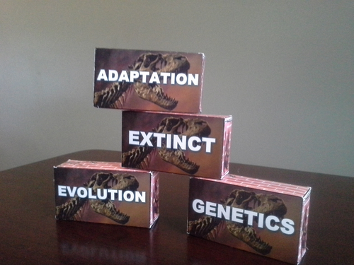 EVOLUTION: WORD WALL | Teaching Resources